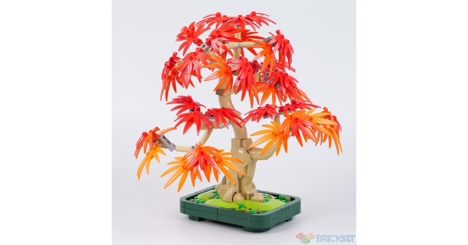 LEGO Botanicals 10348 Japanese Maple Tree review | Brickset